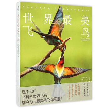 世界*美飞鸟