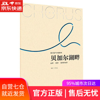 【正版图书】贝加尔湖畔  湖南文艺出版社