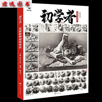 初学者素描静物超级体系2020烈公文化黎伟立基础几何单体组合对画照片对画美术书