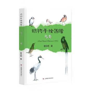 动物手绘图谱 鸟类