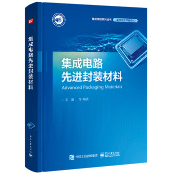 集成电路先进封装材料 王谦