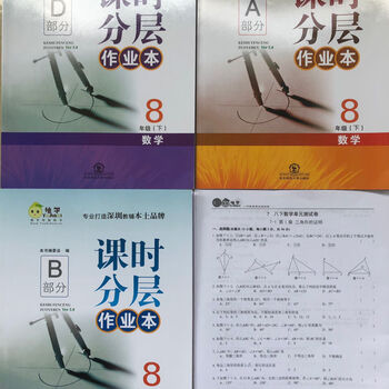 2022春课时分层作业本 深圳专版 八年级 下学期 B部分