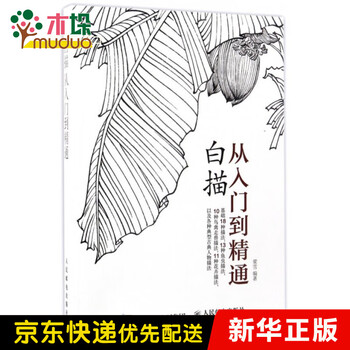 白描从入门到精通