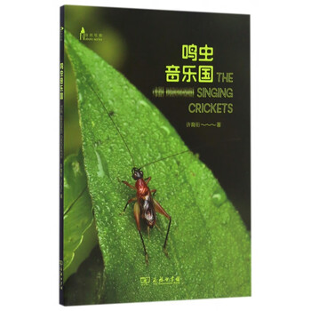 鸣虫音乐国/自然观察