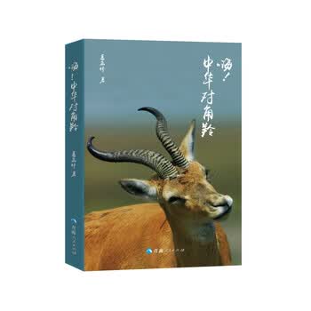 嗨！中华对角羚
