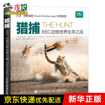 猎捕(BBC动物世界生存之战)/BBC自然探索