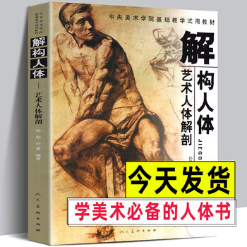 正版277页 解构人体-艺术人体解剖 素描速写绘画人体结构教学孙韬叶南中央美术学院入门基础教材教程临