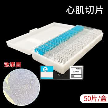 生物切片永久装片人血涂片人体四大组织字母e上字初高中神经装片 心肌切片50片
