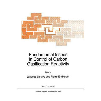 Fundamental Issues in Control of Carbon Gasifica