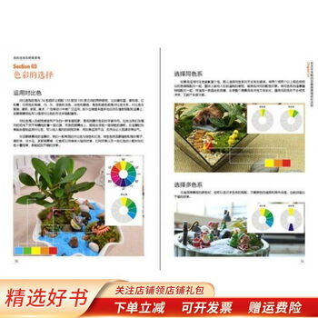 我的迷你苔藓微景观