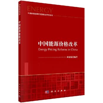 [按需印刷]中国能源价格改革