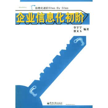 企业信息化初阶【正版图书】