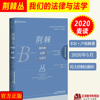 2020麦读新书 荆棘丛 我们的法律与法学 卡尔·卢埃林著 王绍喜译 法学院学生法律人床头读物书籍