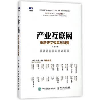 产业互联网(重新定义效率与消费)(精)