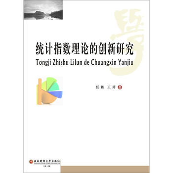 统计指数理论的创新研究 任栋,王琦 著 统计 