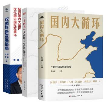 解读十四五规划三部曲 黄奇帆 国内经济大循环与双循环 经济发展新战略与政策选择 大战略与2035远景