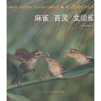 麻雀 百灵 文须雀党忠和天津人民社9787530548691 摄影书籍