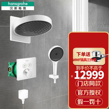 汉斯格雅（Hansgrohe） 境雨250顶喷恒温淋浴花洒套装暗装花洒入墙式花洒26227707进口 250单速头顶套装（白色）【图片 价格 ...