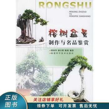 榕树盆景制作与名品鉴赏 陈璋