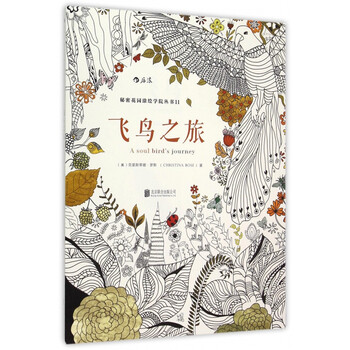 飞鸟之旅/秘密花园涂绘学院丛书