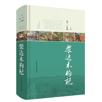柴达木枸杞