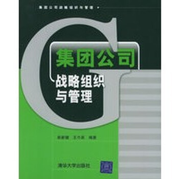 集团公司战略组织与管理 崔新健,王巾英著 清华大学出版社
