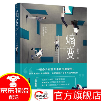 【官方旗舰】熵变 许艳文的长篇小说 小说职场 商场