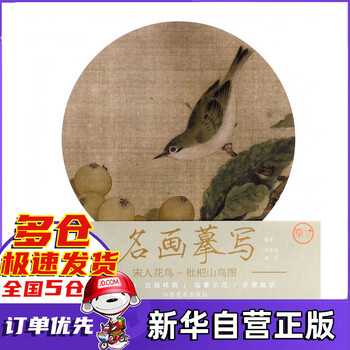 宋人花鸟(枇杷山鸟图)/名画摹写