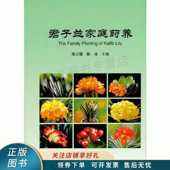 君子兰家庭莳养 陈沛