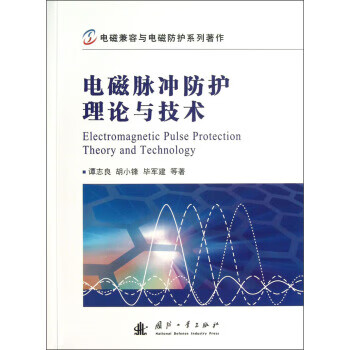 电磁兼容与电磁防护系列著作:电磁脉冲防护理论与技术【正版图书】