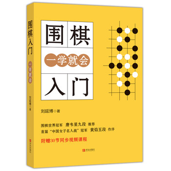 围棋入门一学就会