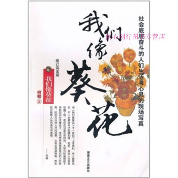 我们像葵花 何顿