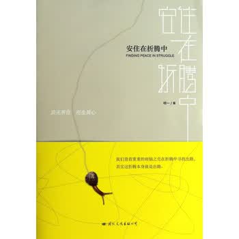 安住在折腾中