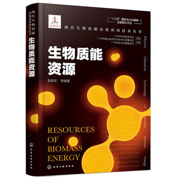 现代生物质能高效利用技术丛书：生物质能资源（精装）