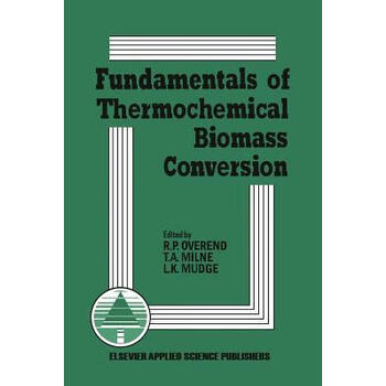 Fundamentals of Thermochemical Biomass Conversi