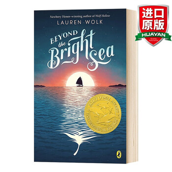 英文原版 在明亮的大海彼岸 Beyond the Bright Sea