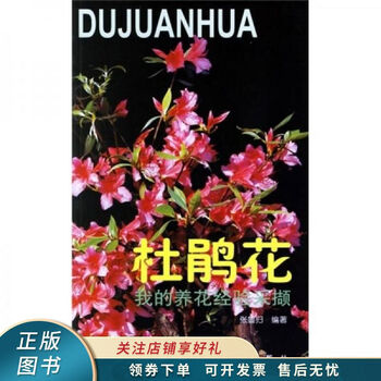 杜鹃花 张鲁归