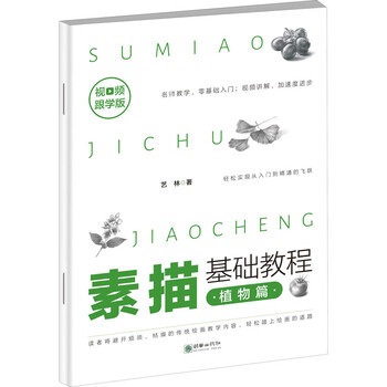 素描基础教程 植物篇 视频跟学版
