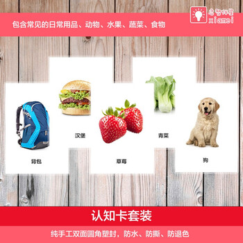 认知套装卡片 自闭症训练卡片 孤独症儿童ABA教具 语言发育迟缓 新款4寸认知9套321张（繁体字）