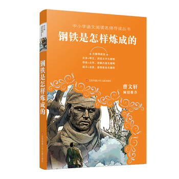 中小学语文阅读名师导读丛书：钢铁是怎样炼成的