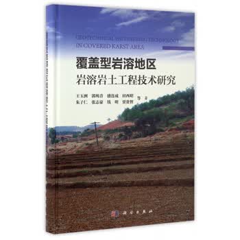 覆盖型岩溶地区岩溶岩土工程技术研究(精)