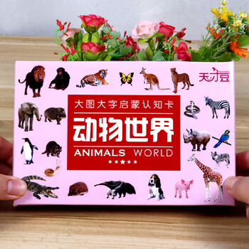 动物大卡片宝宝启蒙早教认知幼儿园看图识字2-3-5岁儿童益智玩具 动物世界60张 大尺寸