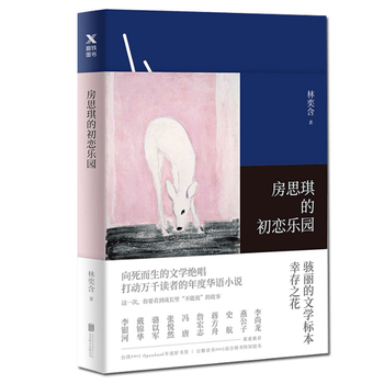 房思琪的初恋乐园 附小册子