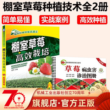 【官方正版】棚室草莓高效栽培+草莓病虫害诊治图册 大棚草莓种植病虫害防治教程 草莓育苗栽培管理栽培新技术 草莓种植栽培技术大全书籍