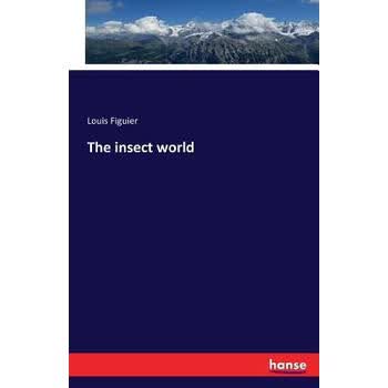 The Insect World