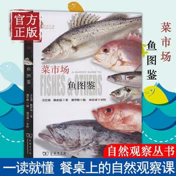 全新正版  菜市场鱼图鉴(自然观察丛书) 吴佳瑞 著 一读就懂餐桌上的自然观察课   科普百科读物