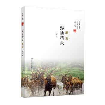 湿地精灵(麋鹿)/盐城地标