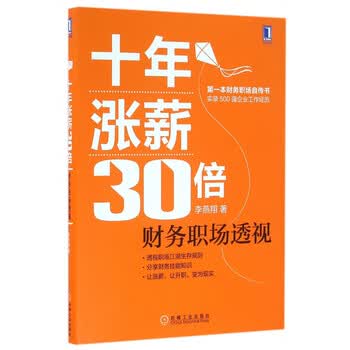 十年涨薪30倍(财务职场透视)