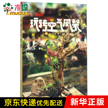 玩转空气凤梨