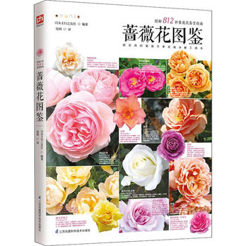 蔷薇花图鉴